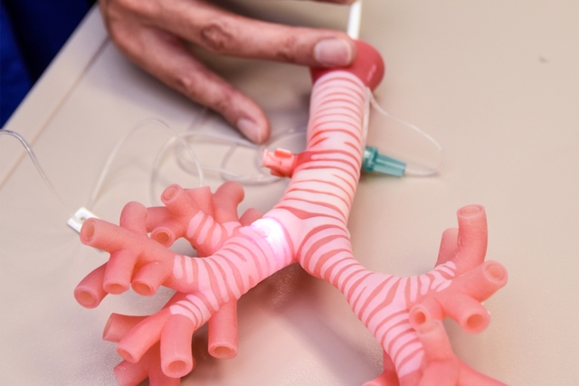 Airway Simulator